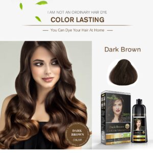 Herbishh Hair Dye Color Shampoo, 500ml Dark Brown, Argan Oil for Hair 30ml - Strengthening Combo for Frizz Control & Damage Repair