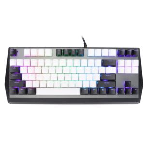 Byged Mechanical Keyboard, 87 Keys RGB Backlight USB Keyboard Wired Keyboard Computer Gaming Keyboard with Custom Function, for Win System