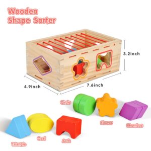 NiceNeer Montessori Toys for 1 Year Old, Wood Montessori Cube Shape Sorter Toys for Toddlers 1-3 Educational Learning Toys for 1 2 3 Year Old Baby Toys & Gifts