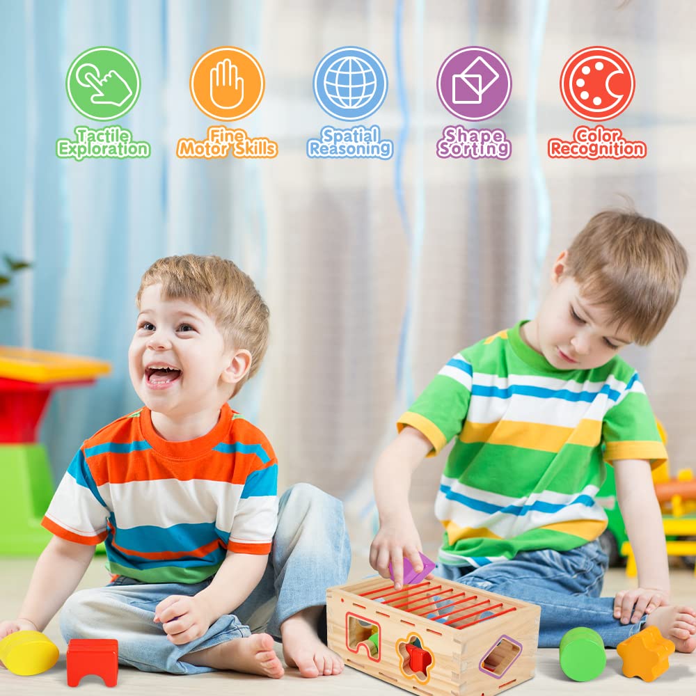 NiceNeer Montessori Toys for 1 Year Old, Wood Montessori Cube Shape Sorter Toys for Toddlers 1-3 Educational Learning Toys for 1 2 3 Year Old Baby Toys & Gifts