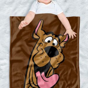 LOGOVISION Scooby Doo Lightweight Baby Blanket, 30"X40", Scooby Happy Unisex for Infants Girls & Boys