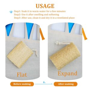 PioneerHiker 100% Natural Loofah Sponge, Unbleached, Natural Loofah Exfoliating Bath Scrubber for Adults, Men and Women Shower or Cleaning Kitchenware (3 Count)