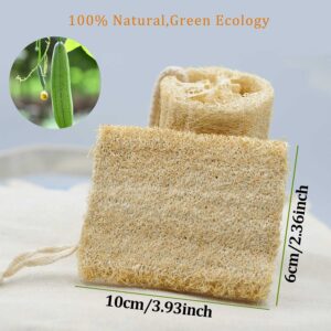 PioneerHiker 100% Natural Loofah Sponge, Unbleached, Natural Loofah Exfoliating Bath Scrubber for Adults, Men and Women Shower or Cleaning Kitchenware (3 Count)