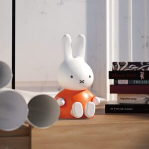 Miffy Portable Bluetooth Speakers, Cute Portable Wireless Speakers with Loud Stereo Sound, Built-in Mic, TF-Card Slot, Dual Pairing,40H Playtime for Room, Desk Decor, for her (Orange)