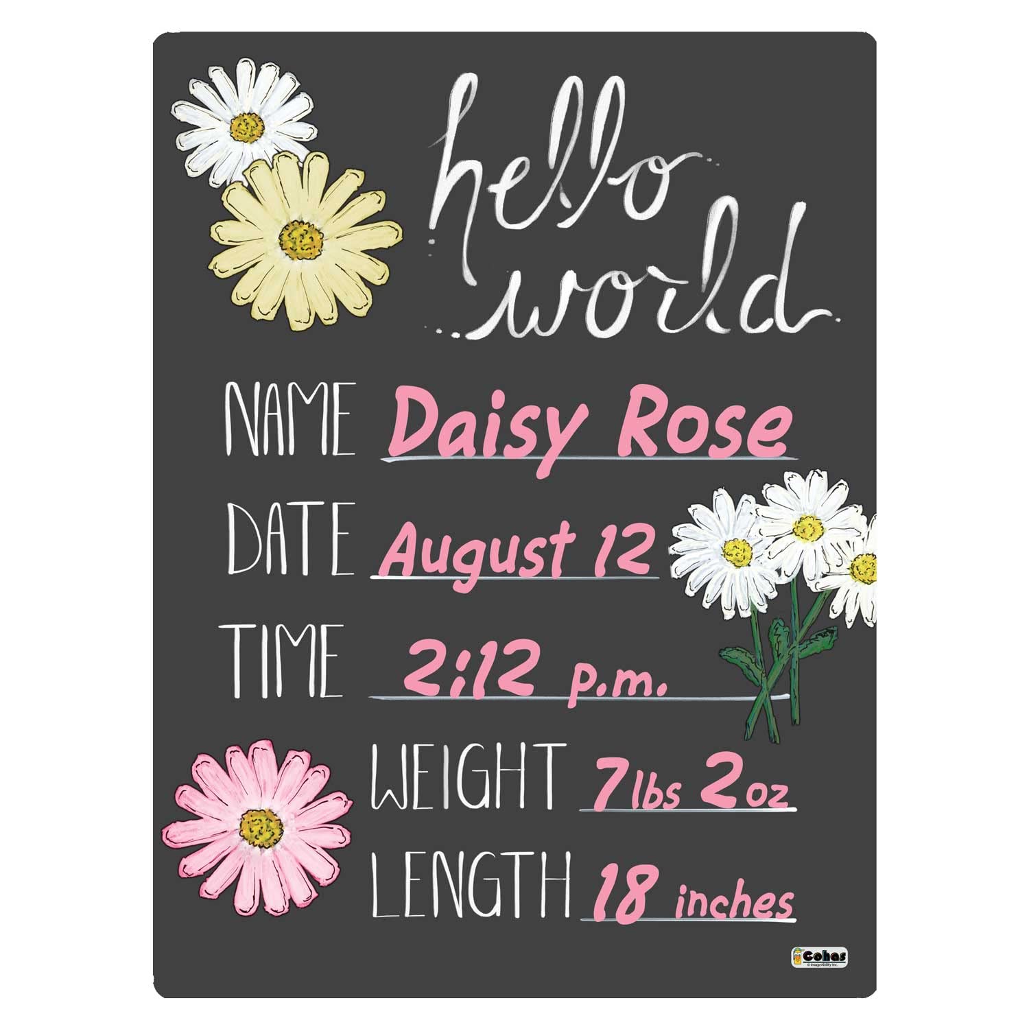 Cohas Hello World Newborn Baby Announcement Chalkboard Sign with Daisy Flower Theme, 5 by 7 Inches, Pink Marker