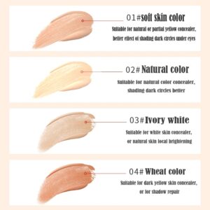 AKARY Face Full Range of Coverage Concealer Pencil for Face, 2 in 1 Dual-Sided Eyebrow Face Concealer Crayon Highlighter Stick, Professional Waterproof Foundation Concealer for Eye Dark Circles, Blackheads, Concealer Pencil with Brush for Men and Women (#