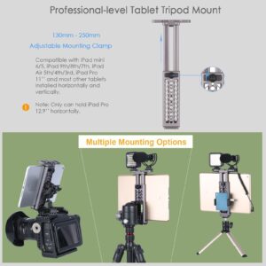 NICEYRIG Aluminum Tripod Mount for iPad Pro 12.9'' 11''/Air 10.9'' 10.5''/Mini 8.3'' 7.9'' Video Recording Vlog Vlogging Lives, Professional Tablet Holder with QR Plate for Arca-Swiss - 502