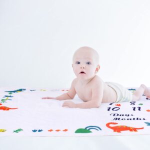 Cloele Baby Monthly Milestone Blanket - Newborn Unisex Baby Age Blanket 37"x53" First Year Calendar Growth Chart - Soft Baby Month Blanket for Boy & Girl Dinosaur Photography Background Blanket White