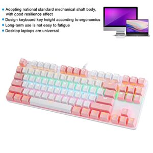 Kafuty-1 Mechanical Gaming Keyboard,Wired USB Computer Gaming Keyboard,87 Keys Mixed Light Mechanical Keyboard for Desktop/Laptop,Mechanical Blue Switch,Plug and Play(#2)