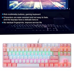 Kafuty-1 Mechanical Gaming Keyboard,Wired USB Computer Gaming Keyboard,87 Keys Mixed Light Mechanical Keyboard for Desktop/Laptop,Mechanical Blue Switch,Plug and Play(#2)