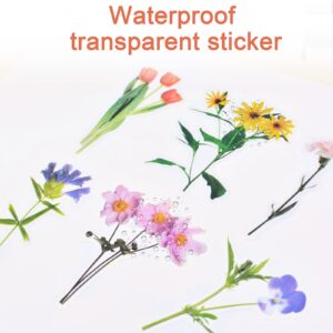 WANDIC Transparent Decorative Stickers, 240 Pieces Waterproof Floral Stickers Flower Sticker Set for DIY Diary Laptop Stationery Phone Case Envelop Calendar Card Making