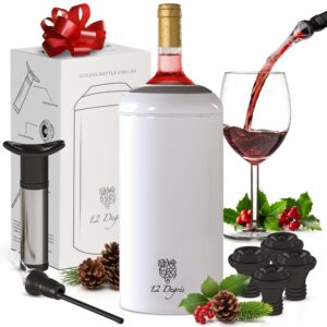 12 degrés wine chiller set - perfect wine gifts for women & men - stainless steel insulated wine cooler with wine pump, aerator & 4 stoppers (white matte)