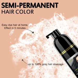 Natural Black Semi-Permanent 3-in-1 Hair Dye Shampoo, 13.5 FL Oz - 100% Grey Coverage, Color Shampoo