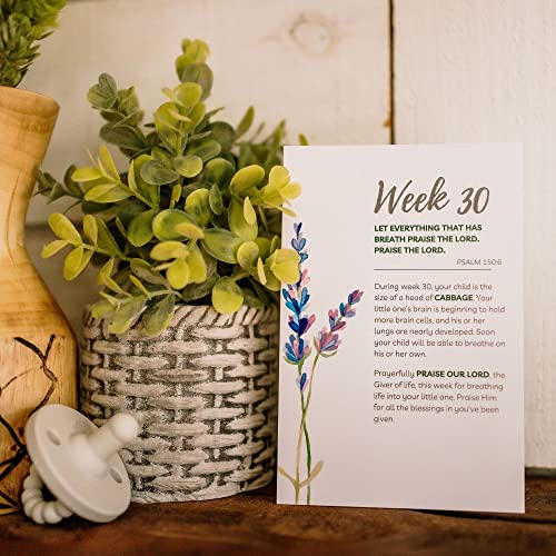 Pregnancy Prayer Cards, Weekly Prayer & Milestone Cards for Expecting Mother, Pregnancy Congratulations Gift for First Time Mom, Pregnancy Must Haves First Trimester Pregnancy Essentials for Mom to Be