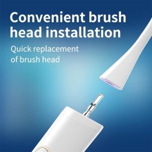 Toothbrush Replacement Heads 3 pcs for P3, S81, Made of Dupont Bristles, Soft Gum, Tongue Coating