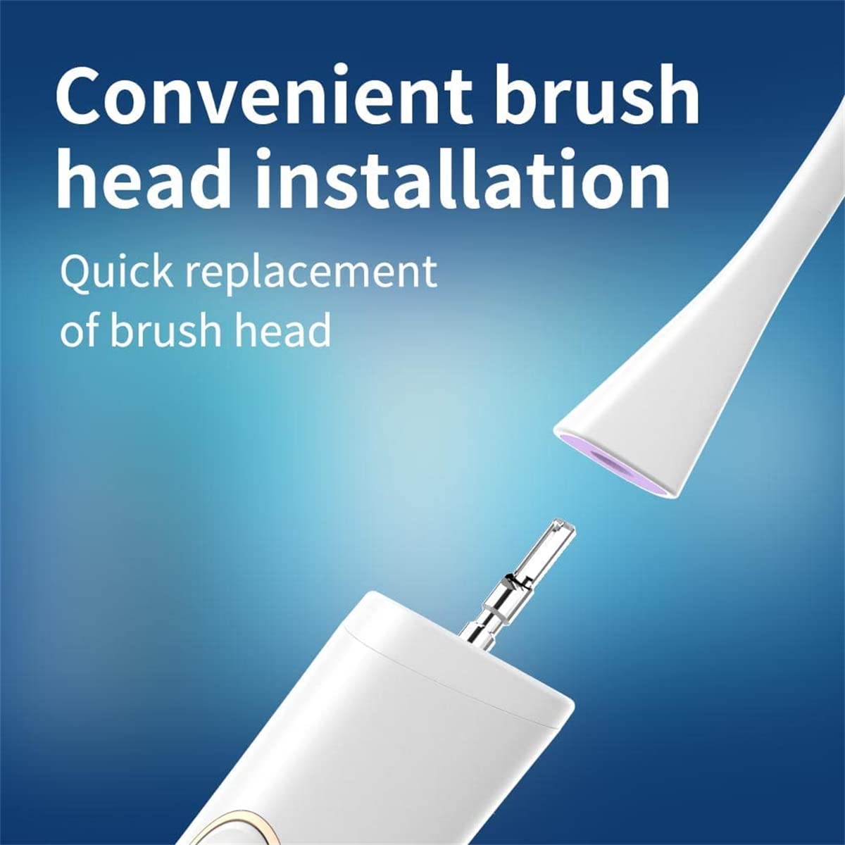 Toothbrush Replacement Heads 3 pcs for P3, S81, Made of Dupont Bristles, Soft Gum, Tongue Coating