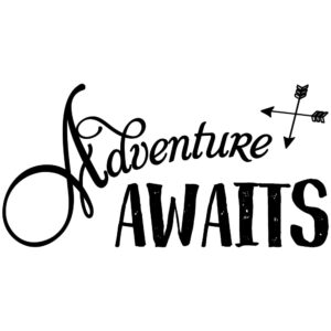 inspirational wall stickers quotes" adventure awaits" positive motivational removable vinyl wall decal living room bedroom nursery room home decor