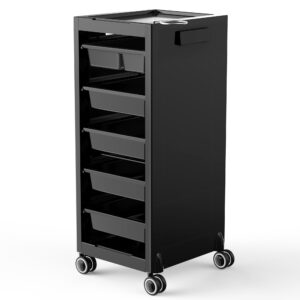 tasalon new salon trolley cart with wheels for extra storage, 5 drawers & dryer holder, space saving salon cart with lighter & strong material, multipurpose beauty cart, hair cart, tattoo tray cart