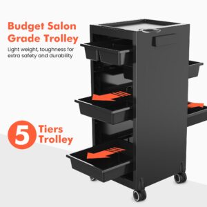 TASALON New Salon Trolley Cart with Wheels for Extra Storage, 5 Drawers & Dryer Holder, Space Saving Salon Cart with Lighter & Strong Material, Multipurpose Beauty Cart, Hair Cart, Tattoo Tray Cart