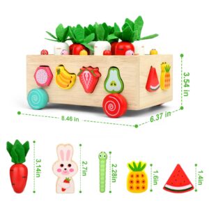 Lemofix Montessori Toys for 1 2 3 Year Old,Toddler Toys for Baby Boys Girls,Wooden Carrot Harvest Shape Sorting,Educational Toys for 1 2 3 Year Old Boys Girls Birthday Gifts