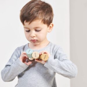 Tender Leaf Toys - Timber Taxi - Wooden Log Shaped Push Vehicle with 3 Removeable Characters - Open-Ended Play Toy, Explore Role-Play and Imagination for Boys and Girls - Age 18m+