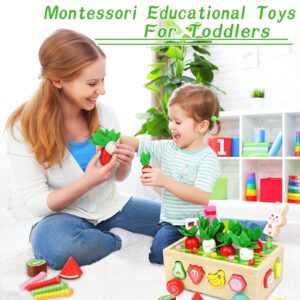 Lemofix Montessori Toys for 1 2 3 Year Old,Toddler Toys for Baby Boys Girls,Wooden Carrot Harvest Shape Sorting,Educational Toys for 1 2 3 Year Old Boys Girls Birthday Gifts