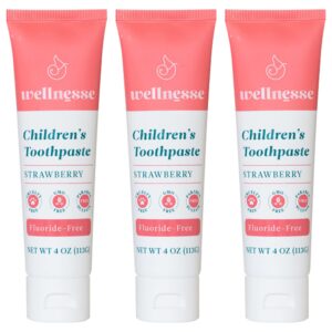 wellnesse children’s toothpaste - fluoride free natural flavored toothpaste for kids and toddlers - strawberry - 3 tubes, 4 oz - made with hydroxyapatite, calcium carbonate, and aloe vera