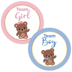 2 inch (60 pack) teddy bear gender reveal stickers - team girl boy baby shower favors labels decorations supplies