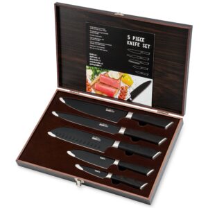 vvwgkpk knife set, 5 pcs professional kitchen knife sets ultra sharp, premium high carbon german stainless steel chef knife set with gift box, ergonomic handle, non-stick coating, rust-proof (black)