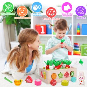 Montessori Toys for 1 2 3 Year Old Boy Girl Carrot Harvest Game Wooden Toy Preschool Educational Learning Toy Shape Sorter Toys Xmas Gifts for 1 2 3 year old Boy Girl Fine Motor Skill Game Toddler Toy