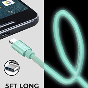 LIQUIPEL USB Type C Cable 5ft, USB A 2.0 to USB-C Fast Charger Extra Long Durable, Glow Cables (Blue)