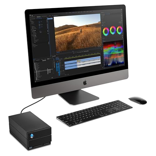 LaCie 2big Dock 40TB External HDD - Thunderbolt and USB4 Compatibility, Data Recovery (STLG40000400)