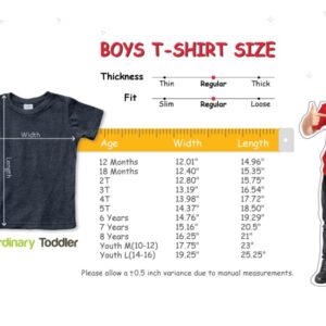 Big Brother Shirt, Big bro Shirt, Big Brother Announcement Shirt, Big Brother t Shirt Toddler (Charcoal Black, 18 Months)