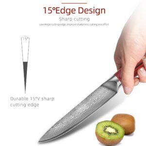 Damascus Knife 5 Inch, Damascus Kitchen Utility Knife 5 Inch, Damascus Chef Knife 5 Inch,Japanese VG10 edge, Red G10 Handle with Triple Rivets for Vegetables and Fruits in Gift Box