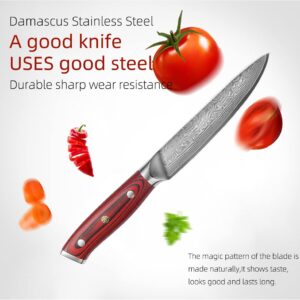 Damascus Knife 5 Inch, Damascus Kitchen Utility Knife 5 Inch, Damascus Chef Knife 5 Inch,Japanese VG10 edge, Red G10 Handle with Triple Rivets for Vegetables and Fruits in Gift Box