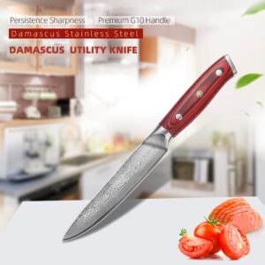 Damascus Knife 5 Inch, Damascus Kitchen Utility Knife 5 Inch, Damascus Chef Knife 5 Inch,Japanese VG10 edge, Red G10 Handle with Triple Rivets for Vegetables and Fruits in Gift Box