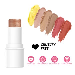 MEICOLY Makeup Sticks Kit, Contour Stick,Blush Stick, Highlight Stick,Facial Repair Bronzer Shading Stick, Cruelty Free Multi Stick Trio Cream Face Blush for Cheeks Lip Eye,02