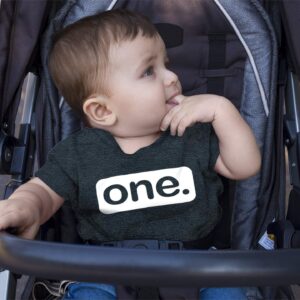 First Birthday Outfit boy 1st Birthday boy Gifts one Year Old Shirt Baby Boys (Charcoal Black, 18 Months)