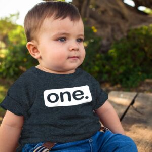 First Birthday Outfit boy 1st Birthday boy Gifts one Year Old Shirt Baby Boys (Charcoal Black, 18 Months)