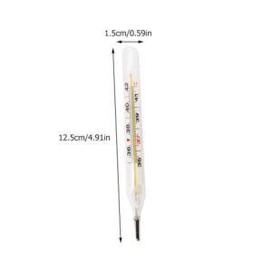 Healifty 2Pcs Mercury General Use Temperature Testing Tools