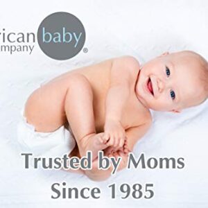 American Baby Company Waterproof Embossed Quilt-Like Flat Cradle/Bassinet Protective Pad Cover