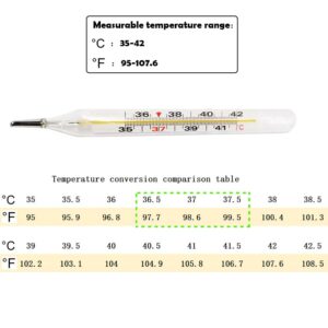 Healifty 2Pcs Mercury General Use Temperature Testing Tools