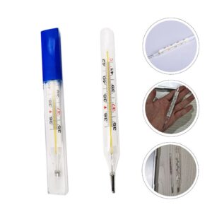 Healifty 2Pcs Mercury General Use Temperature Testing Tools