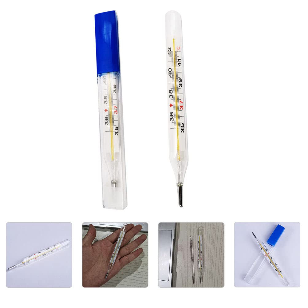 Healifty 2Pcs Mercury General Use Temperature Testing Tools