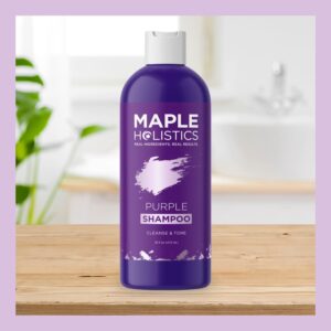 Purple Shampoo Blonde Hair Toner - Sulfate Free Shampoo for Color Treated Hair plus Blonde Shampoo for Brassiness and Yellow Tones - Hair Toner for Bleached Hair Made with Cleansing Natural Oils 16oz