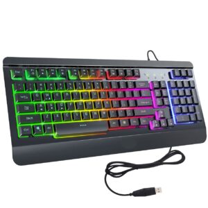 hovingtech gaming keyboard, usb wired keyboard with metal panel rainbow backlight, led illuminated ergonomic wrist rest, shortcuts, 19-key anti-ghosting, laptop & desktop pc computer black