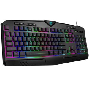 dacoity tkl mechanical gaming keyboard, rgb led rainbow backlit 60% keyboard with blue switches, 27 led lighting modes, 100% anti-ghosting, 87 keys wired tenkeyless keyboard for windows pc mac games