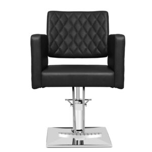 Paddie Salon Chair for Hair Stylist, Height Adjustable Hydraulic Chair Barber Chairs All Purpose Beauty Spa Salon Equipment, Max Load Weight 330 Lbs (Black-New)