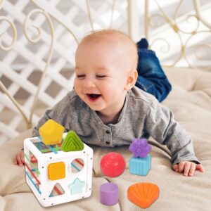 Sensory Toys for Toddlers 1-3, Baby Shape Sorter Toy, Montessori Toys for 1 2 3 Year Old Kids