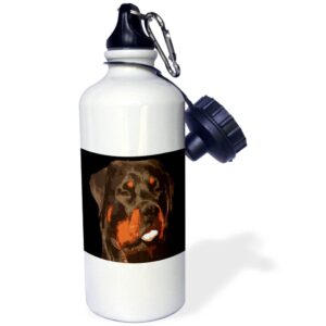 3drose cartoon style nerdy rottie sticking tongue out - water bottles (wb_357087_1)